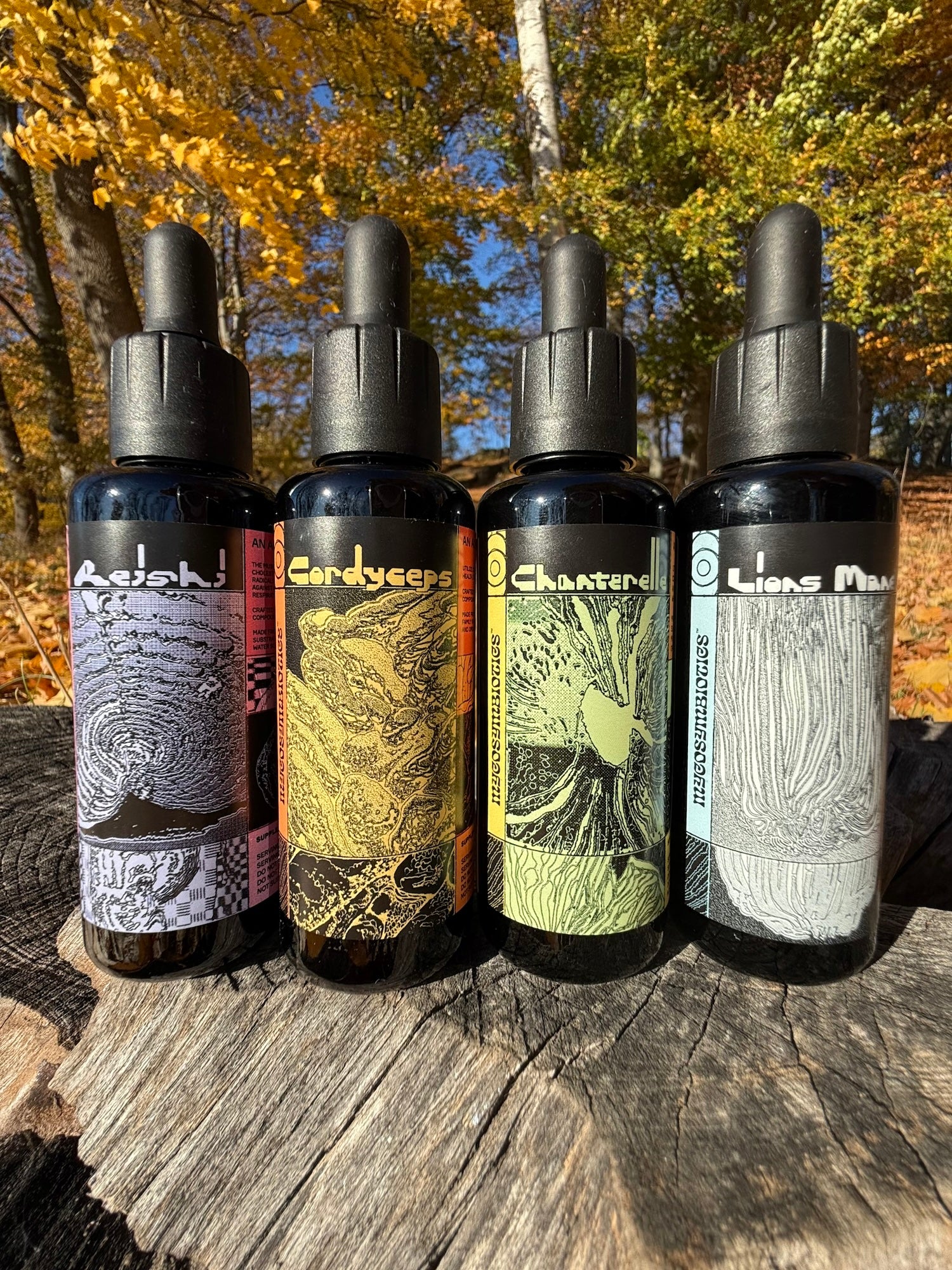 . Mushroom Dual Tincture . (Made in EU) – MycoSymbiotics